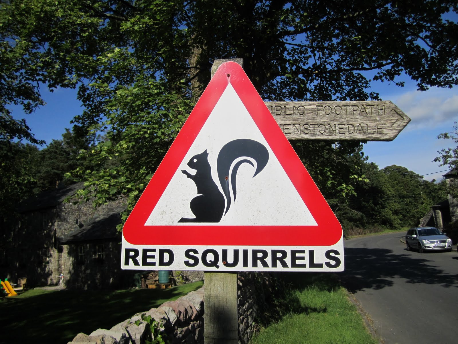 TravelMarx: Red v. Grey Squirrel