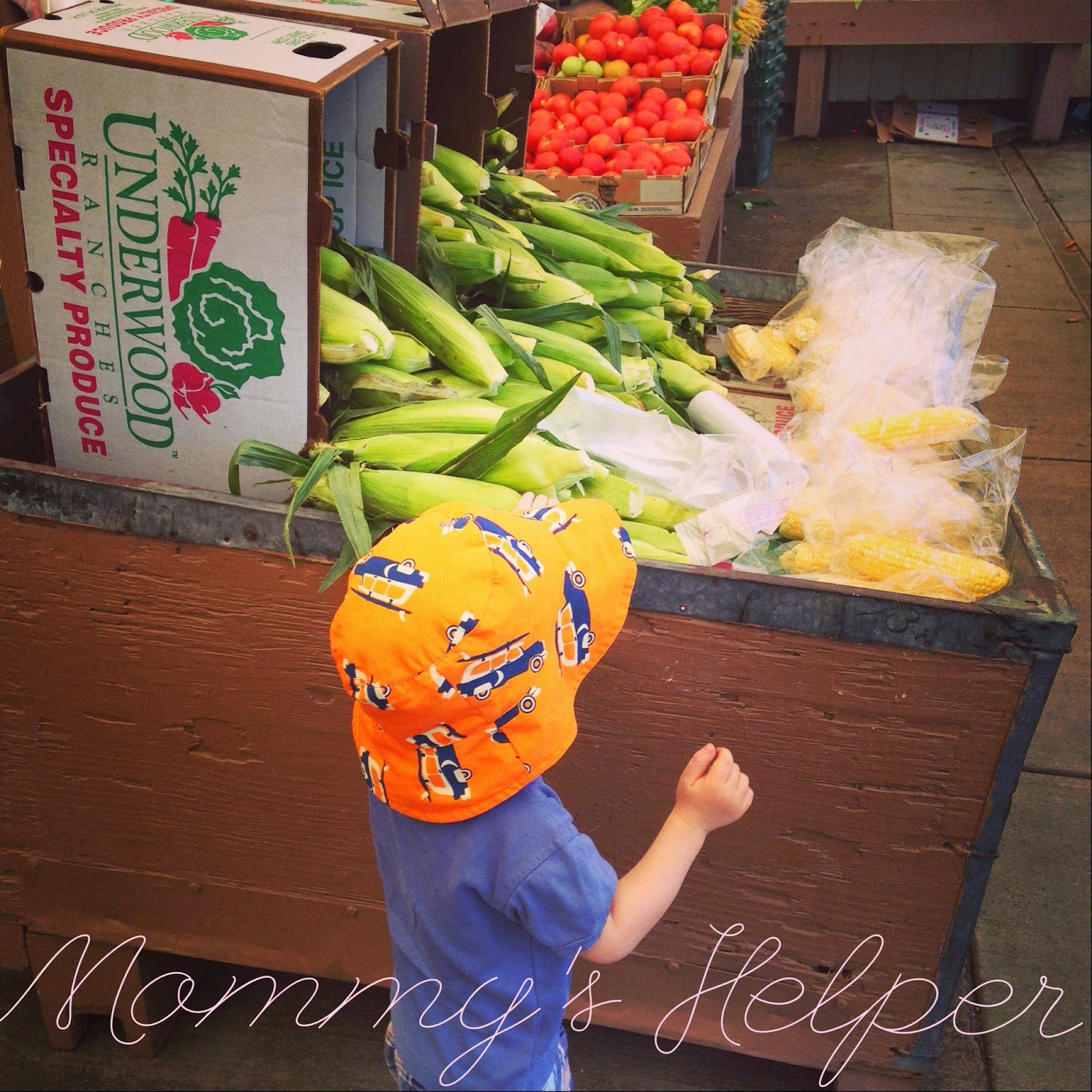 Food Fit for Kids: The Supermarket - Taking Your Kids, Keeping Your Sanity