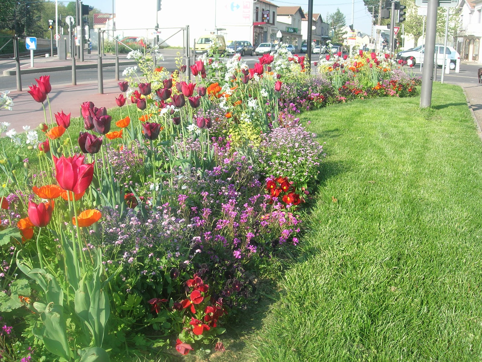 composition florale au jardin