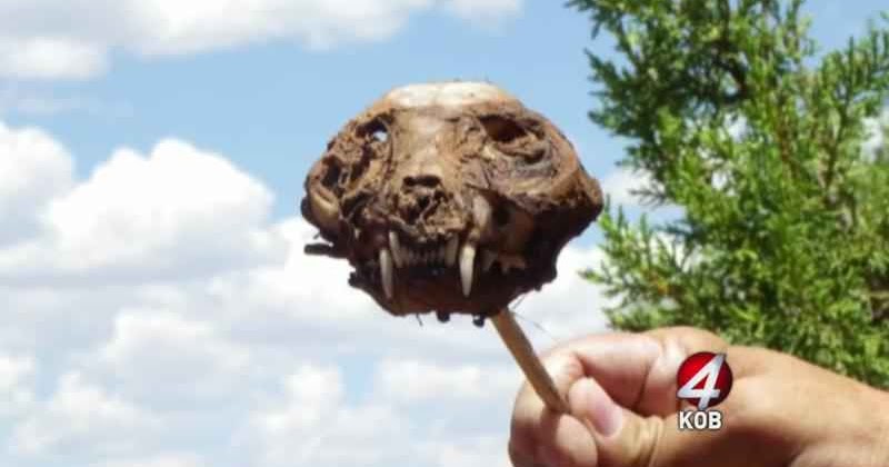 Buscandolado La Verdad-MaEl: CAZADOR DE TESOROS CREE QUE ENCONTRO EL ...