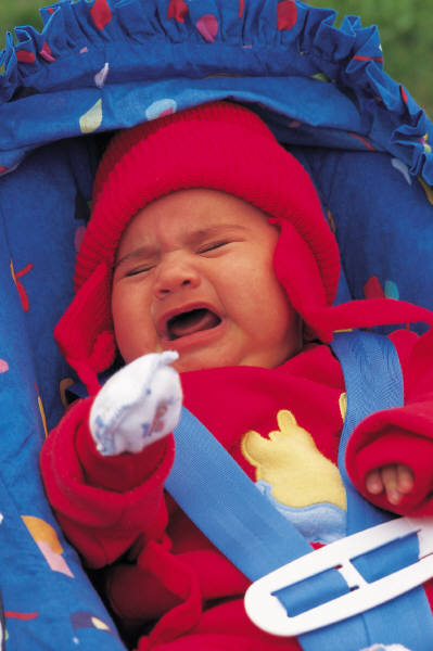 abel sanchez negrete concejal