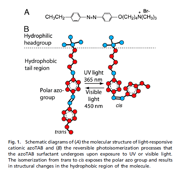 SOL-GEL, NANOSCIENCE AND PHOTONICS: GENERAL HYDROPHOBIC INTERACTION ...