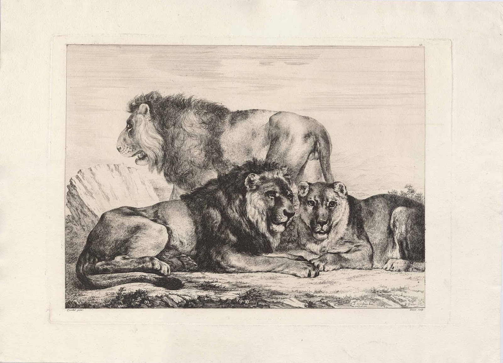Prints and Principles: Dominique Vivant Denon's etching, "Two Lions and ...