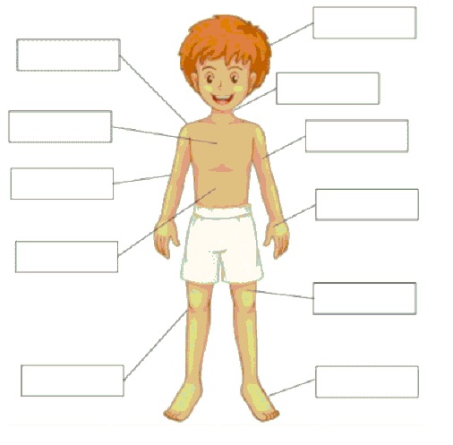 ANA s ESL MATERIALS VOCABULARY Body Parts ana-s-esl-materials-vocabulary-body-parts