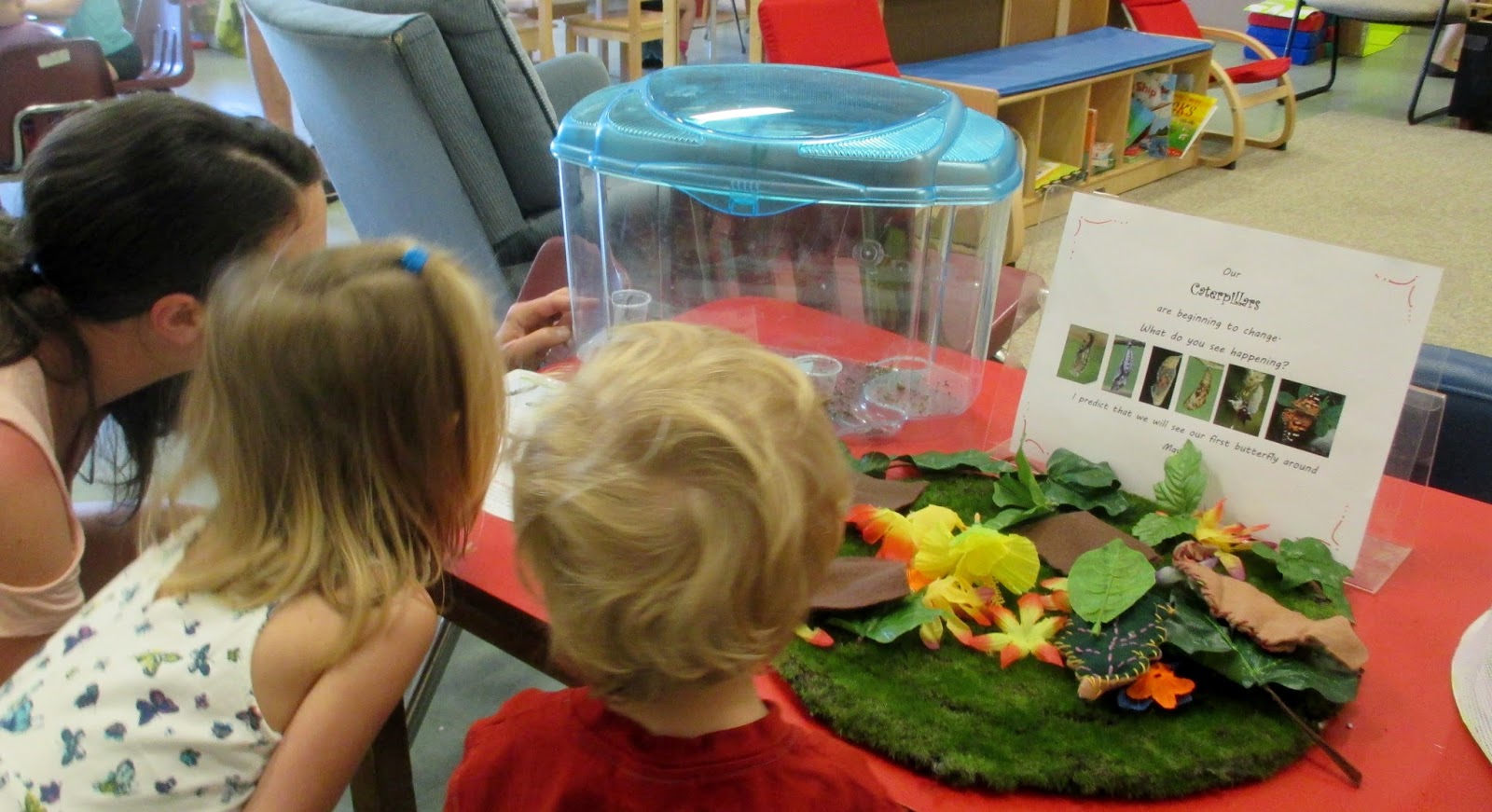 StrongStart: Chrysalis