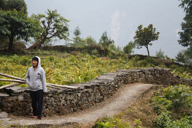 Travelling in North Sikkim: Tingvong Village, Upper Dzongu
