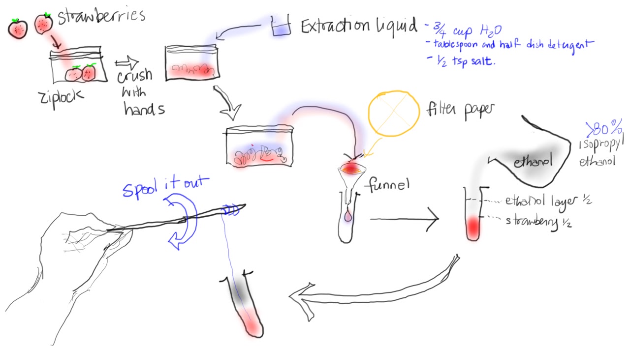 science 10 gladstone