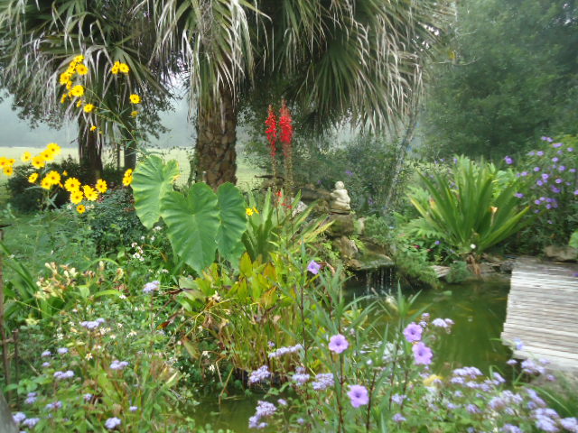 Cracker Rose Acre - Fort White - Florida: Cracker Rose Acre - Fort ...
