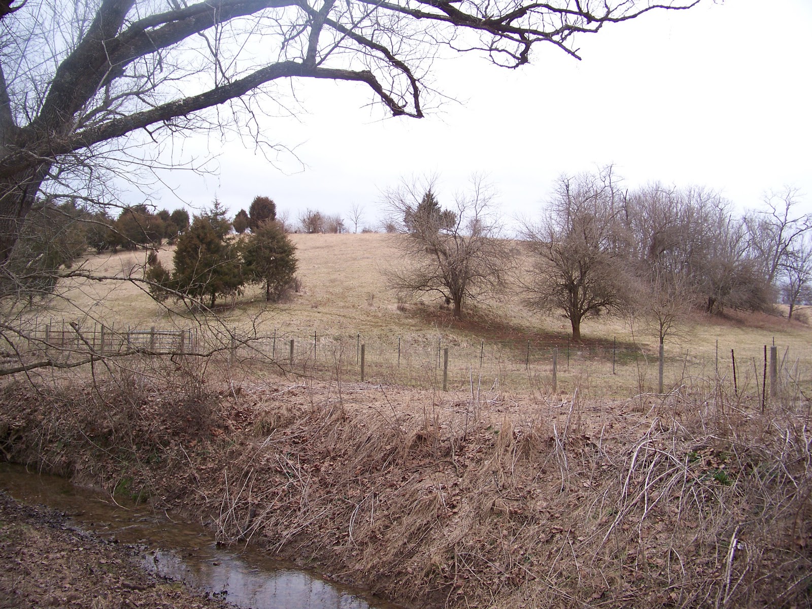 South From the North Woods: Intermittent Streams - Avenues of Approach