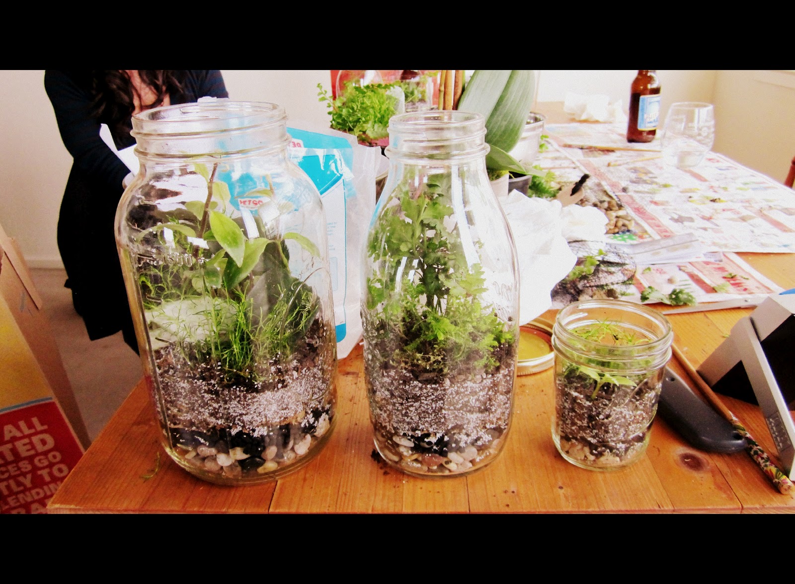 The Fern and Mossery: Terrarium-making Party