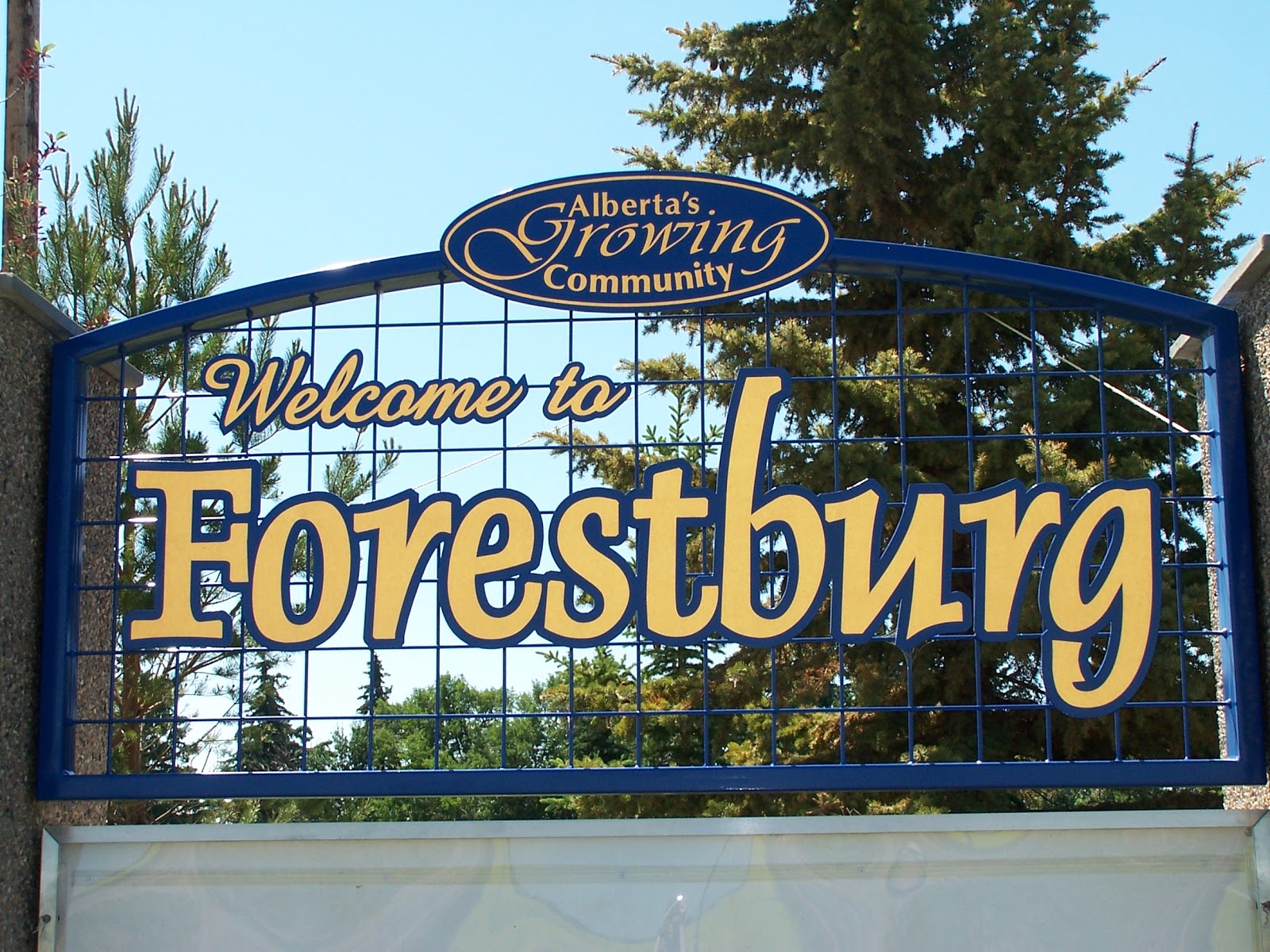 Kendra's Summer Internship in Forestburg