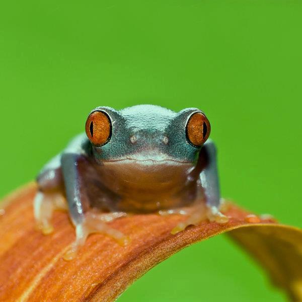 Big Picture | photography inspiration | funny images etc Just on http ...