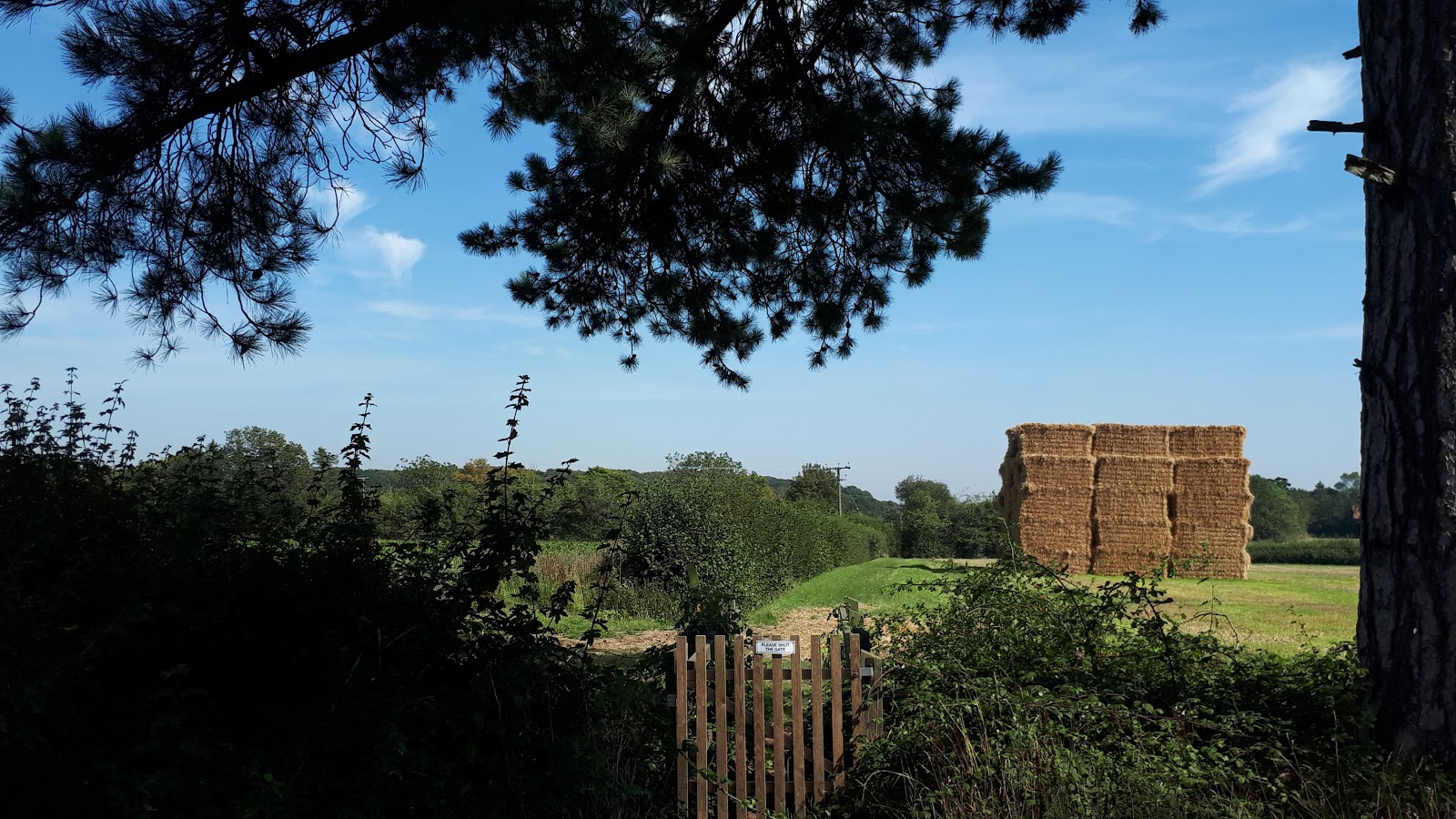 Saxmundham to Rendham Circular Walk ~ Griffmonsters Great Walks