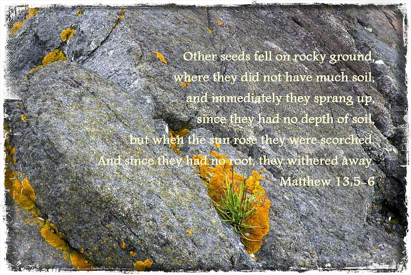 Scripture photo: Rocky ground
