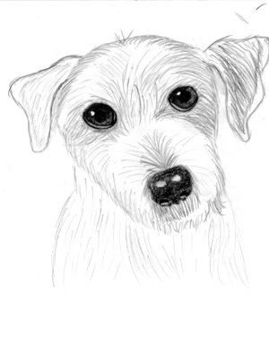 Sketsa Pensil: Anjing