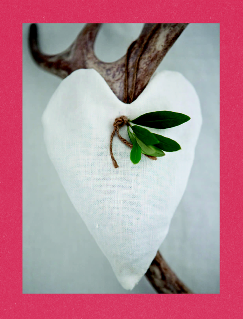 Molly Flanders: 2014