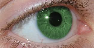 9 Warna Mata Alami Di Dunia, Mana yang Paling Bagus Menurut Anda ...