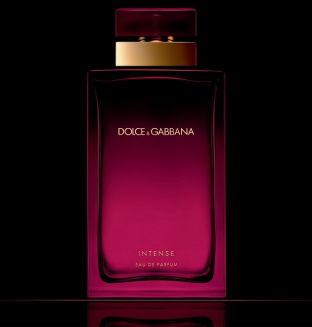 Intense – A New Fragrance for Women by Dolce & Gabbana | Soraya Schmitz ...