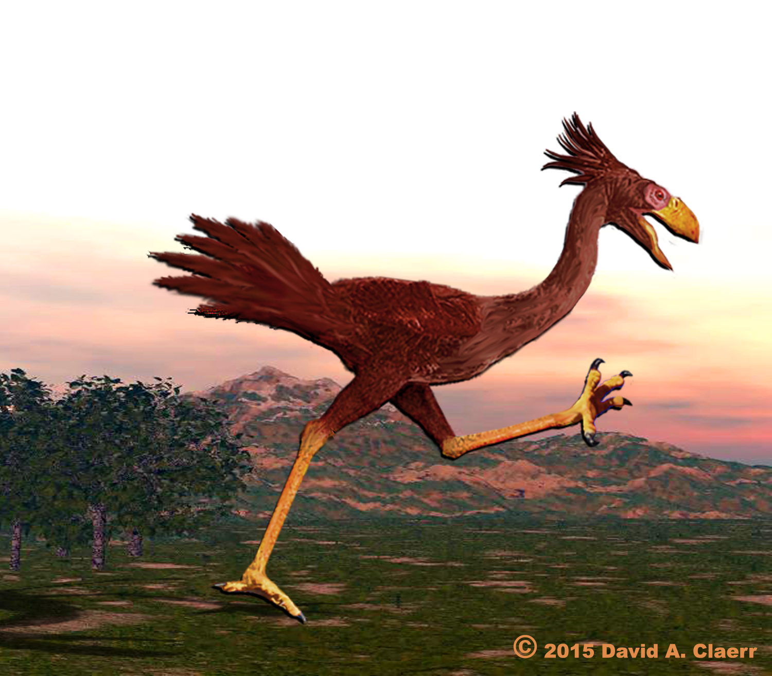 Chickosaurus Revisted! Need Ornithology Input From University or Museum!