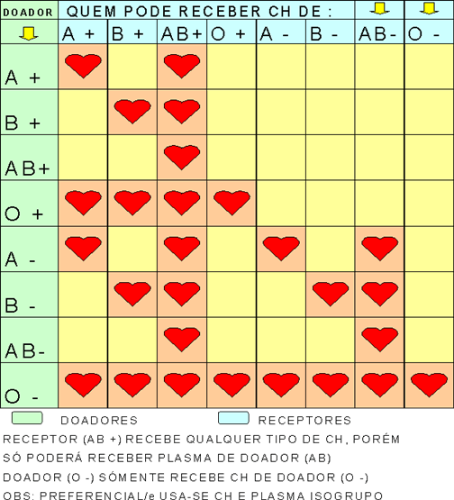 Bastidores da Notícia Dracena: CONHEÇA A TABELA SOBRE DOAÇÃO DE SANGUE