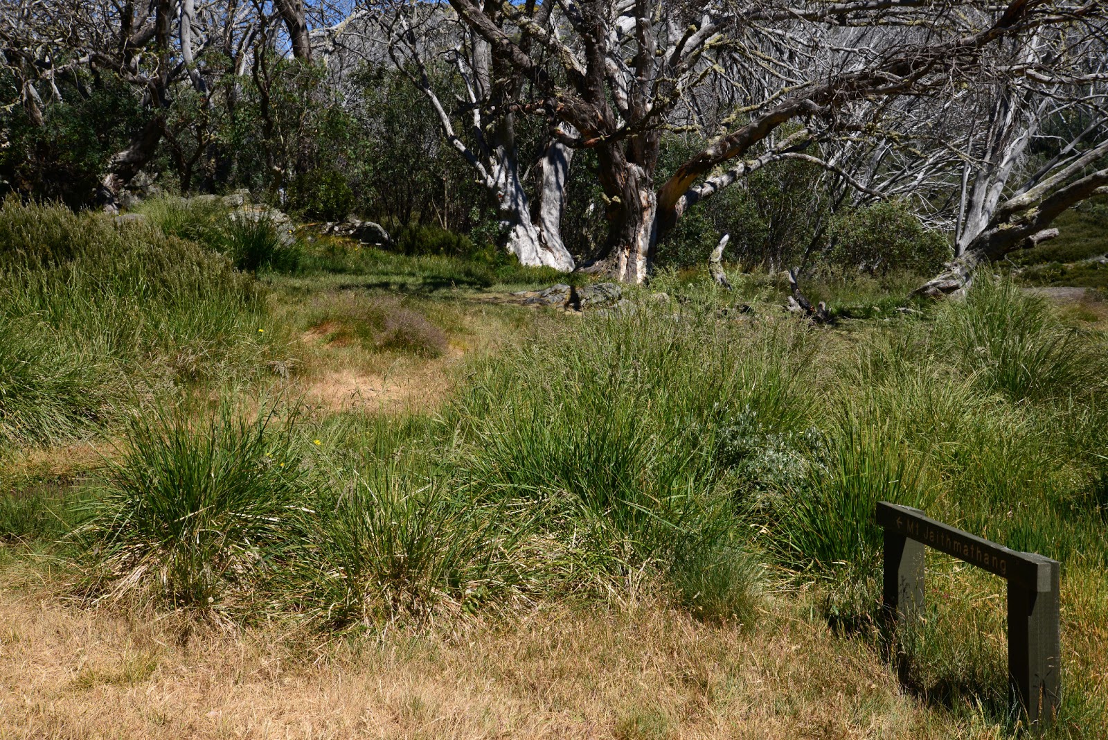 walkabouters club of victoria inc: Pretty Valley - Tawonga Huts - Mount ...