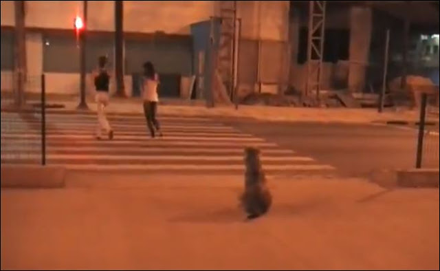 ΣΟΚΑΡΙΣΤΙΚΟ Ε..;;; ΔΕΙΤΕ ΤΟ ΒΙΝΤΕΟ: ΚΙ ΕΝΩ ΑΛΛΟΙ ΠΕΖΟΙ ΠΕΡΝΑΝΕ ΜΕ ...