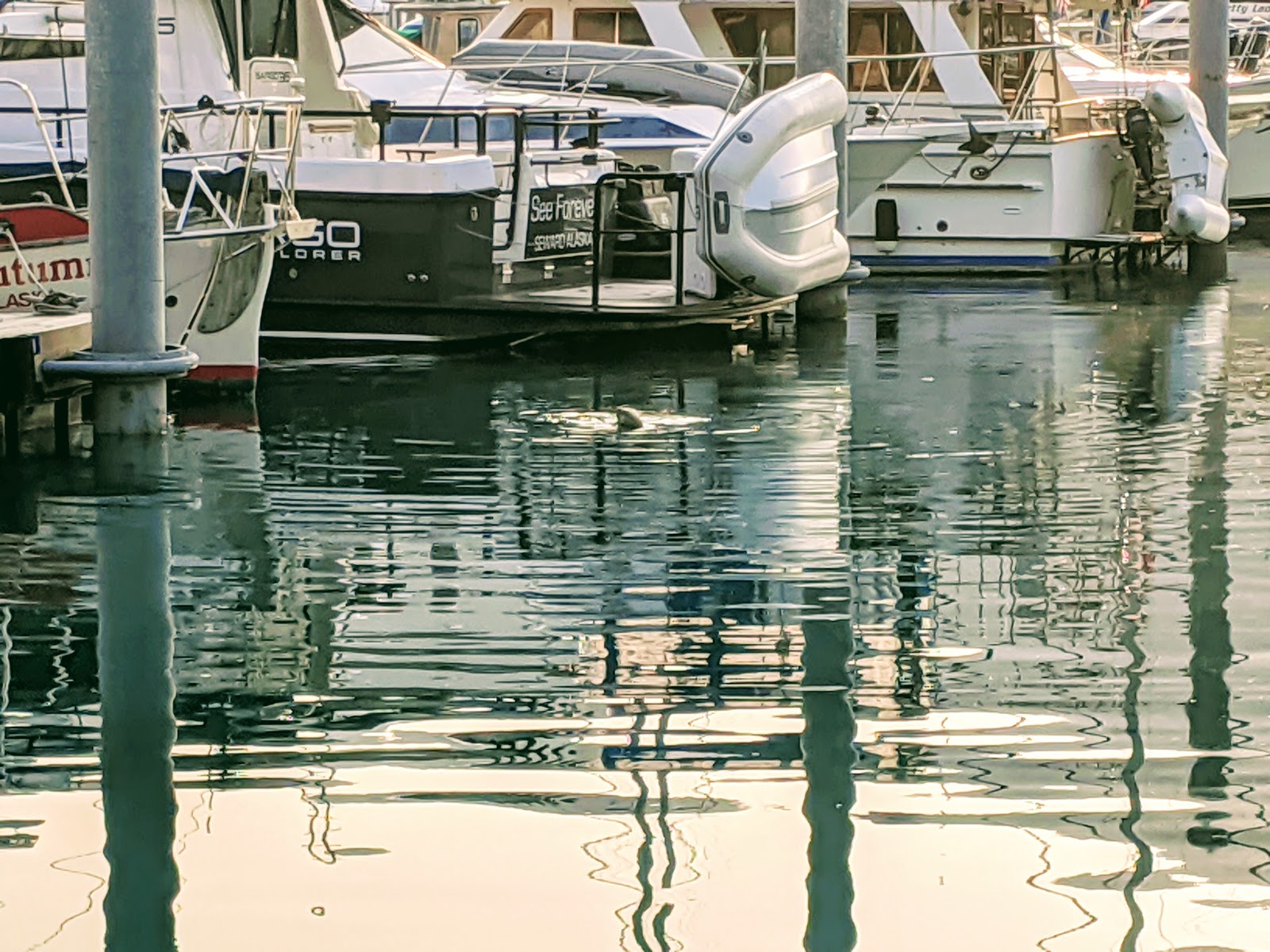 Lowell Point to Tonsina Point- a hike and kayak.