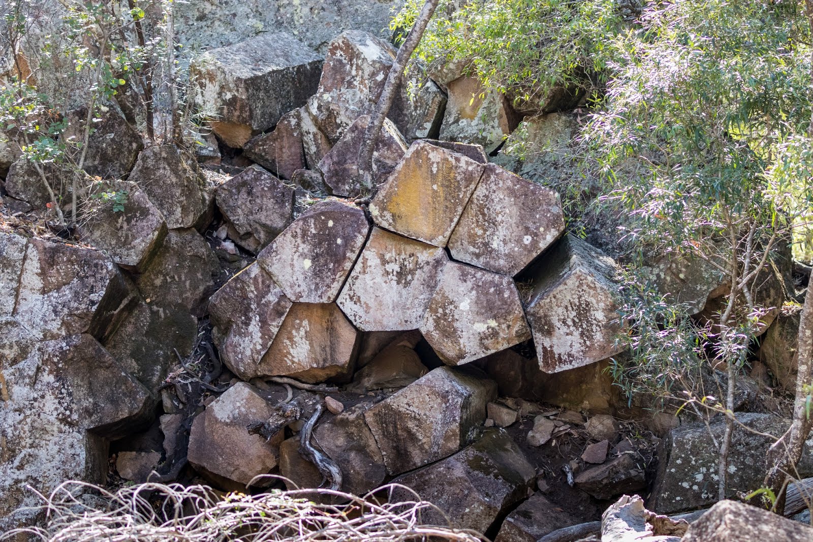 National Park Odyssey: Sawn Rocks, Mount Kaputar National Park, NSW.