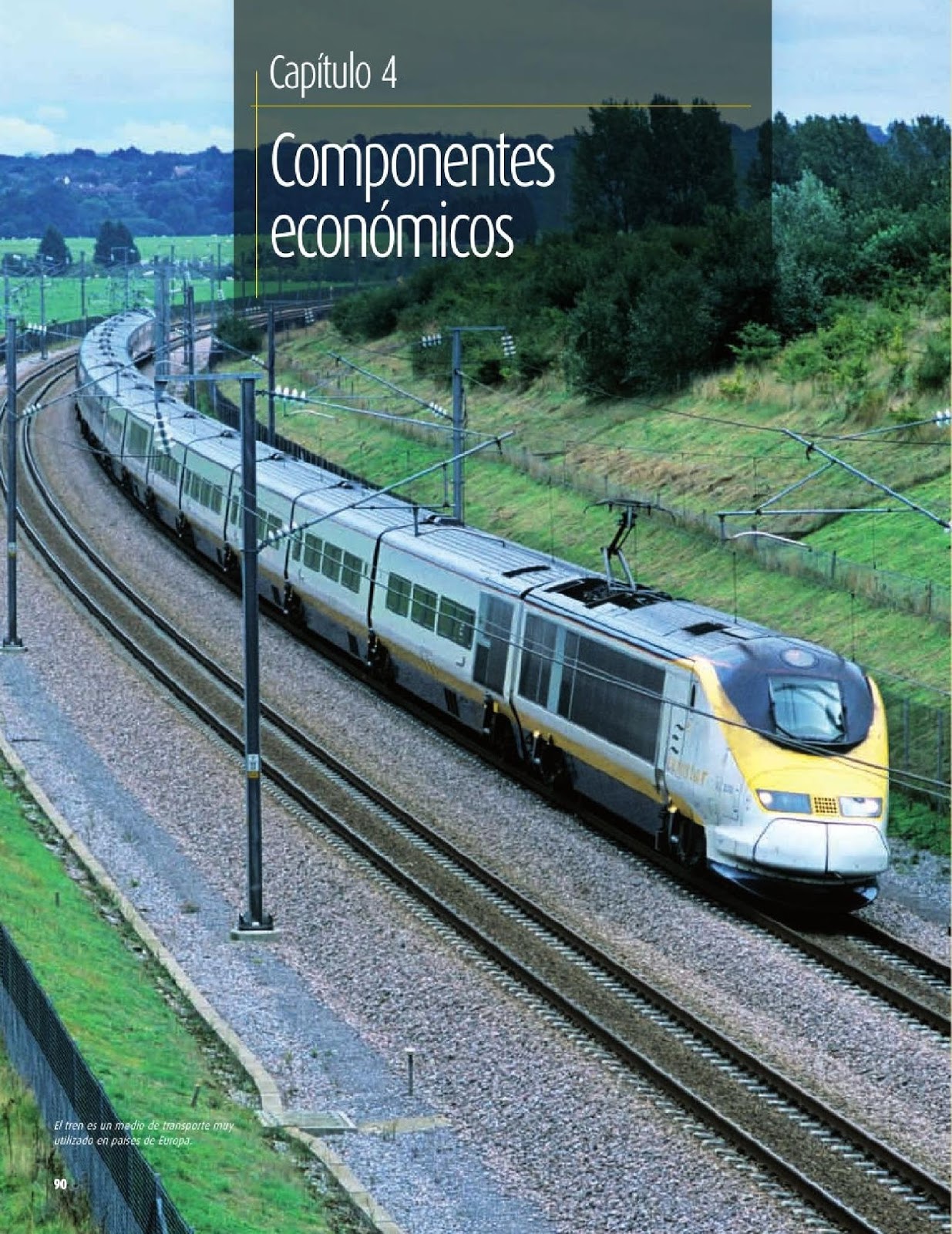 Componentes económicos - Capítulo 4