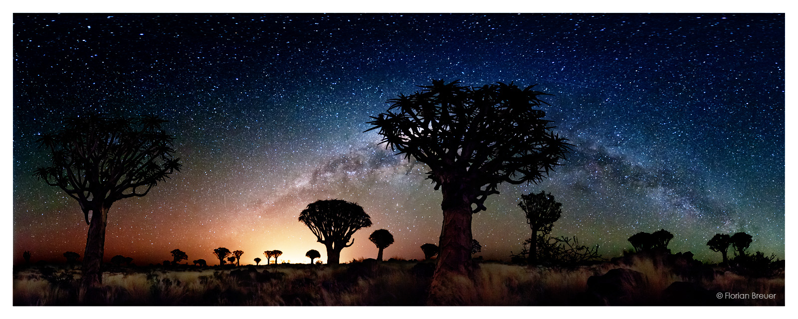 Stanford in Namibia: Namibian Nights