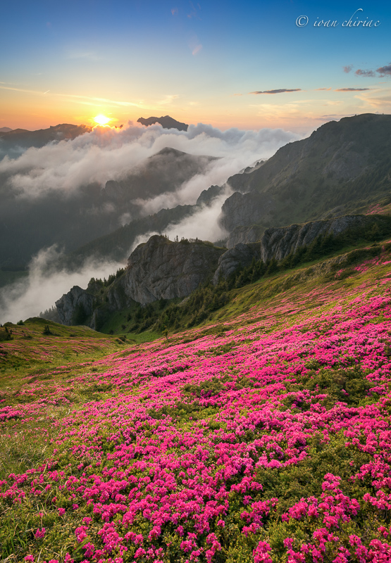 Ioan Chiriac Photography : Curcubeul naturii. Imagini la apus din ...