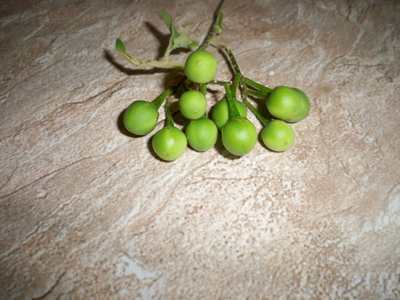 Jamaican Foodie: Jamaican Food Glossary