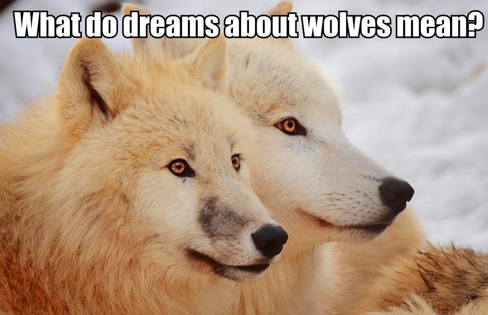 White Wolf : The Discovery of Power Through the Ways of Wolves