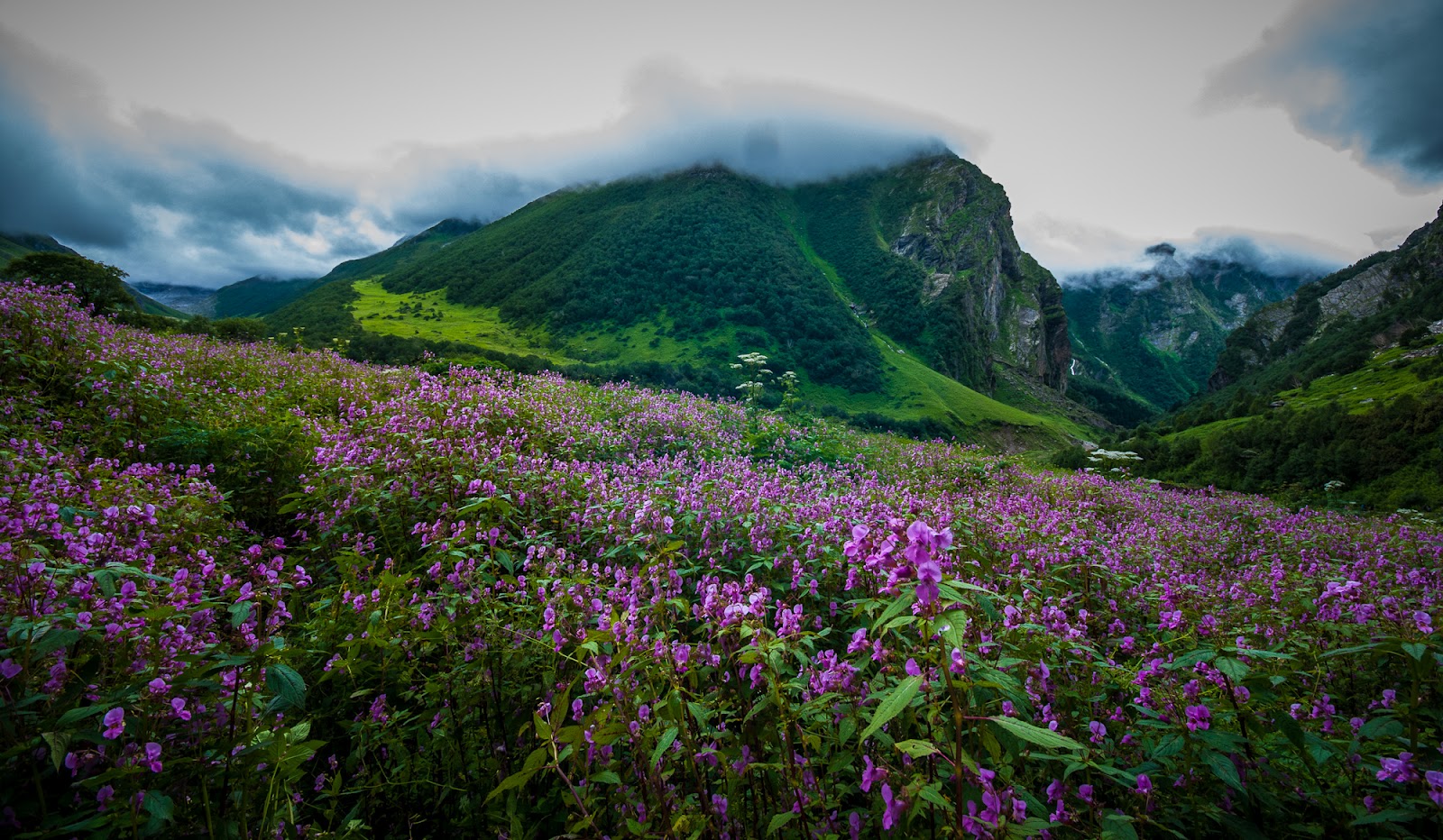 SHANDE: Valley of Flowers Trip : Brief Itinerary