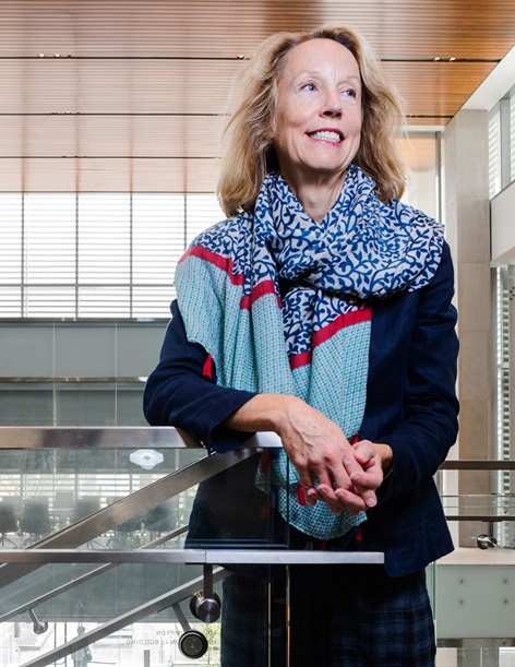 Interesse Privado, Acção Pública: ANNE CASE