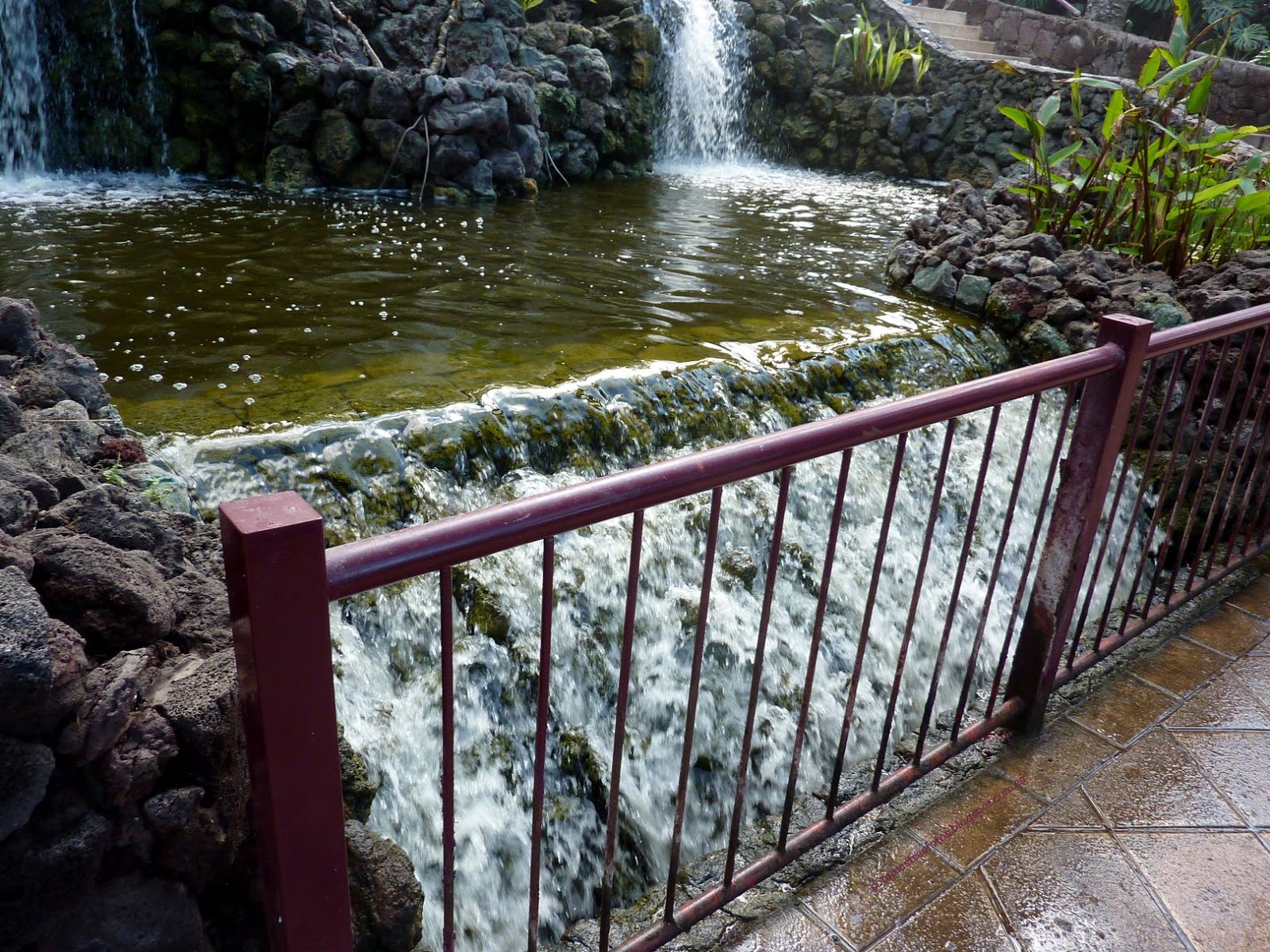 NUESTRAS FOTOS: PARQUE TAORO I