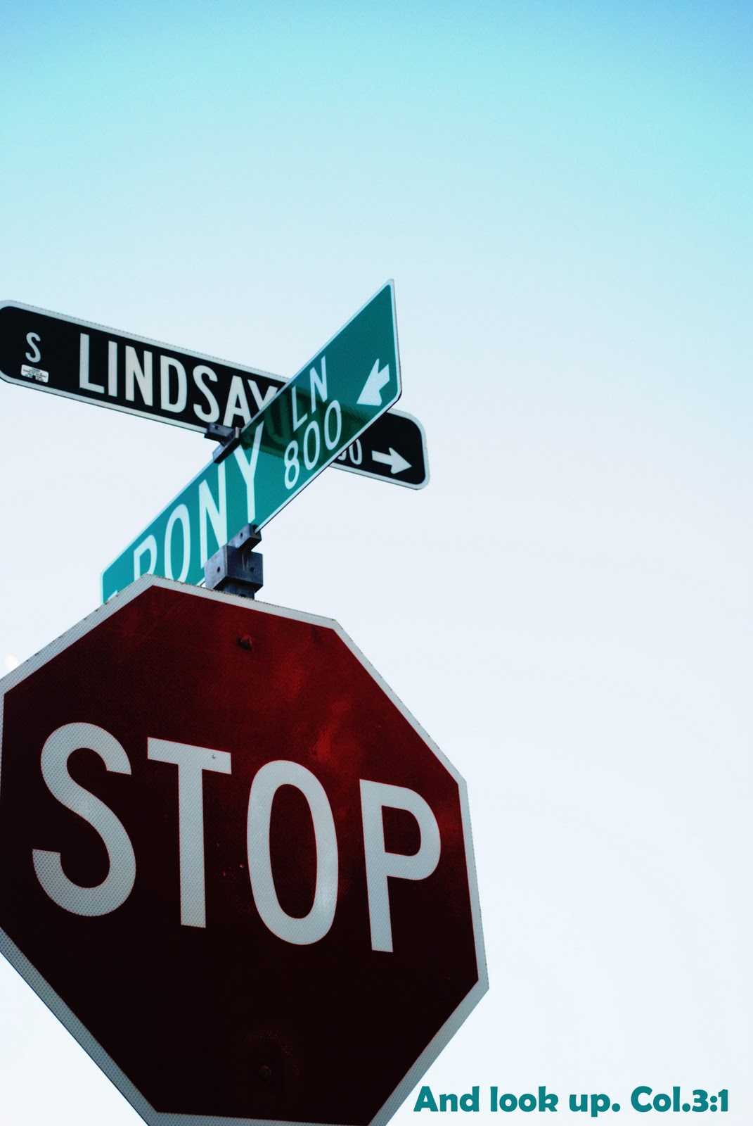 UrbanWildflower Photography: Some signs along the road