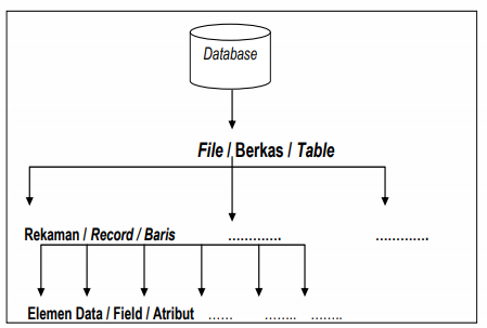 Basis Data Dalam Sistem Informasi | Kamu Harus Tau!