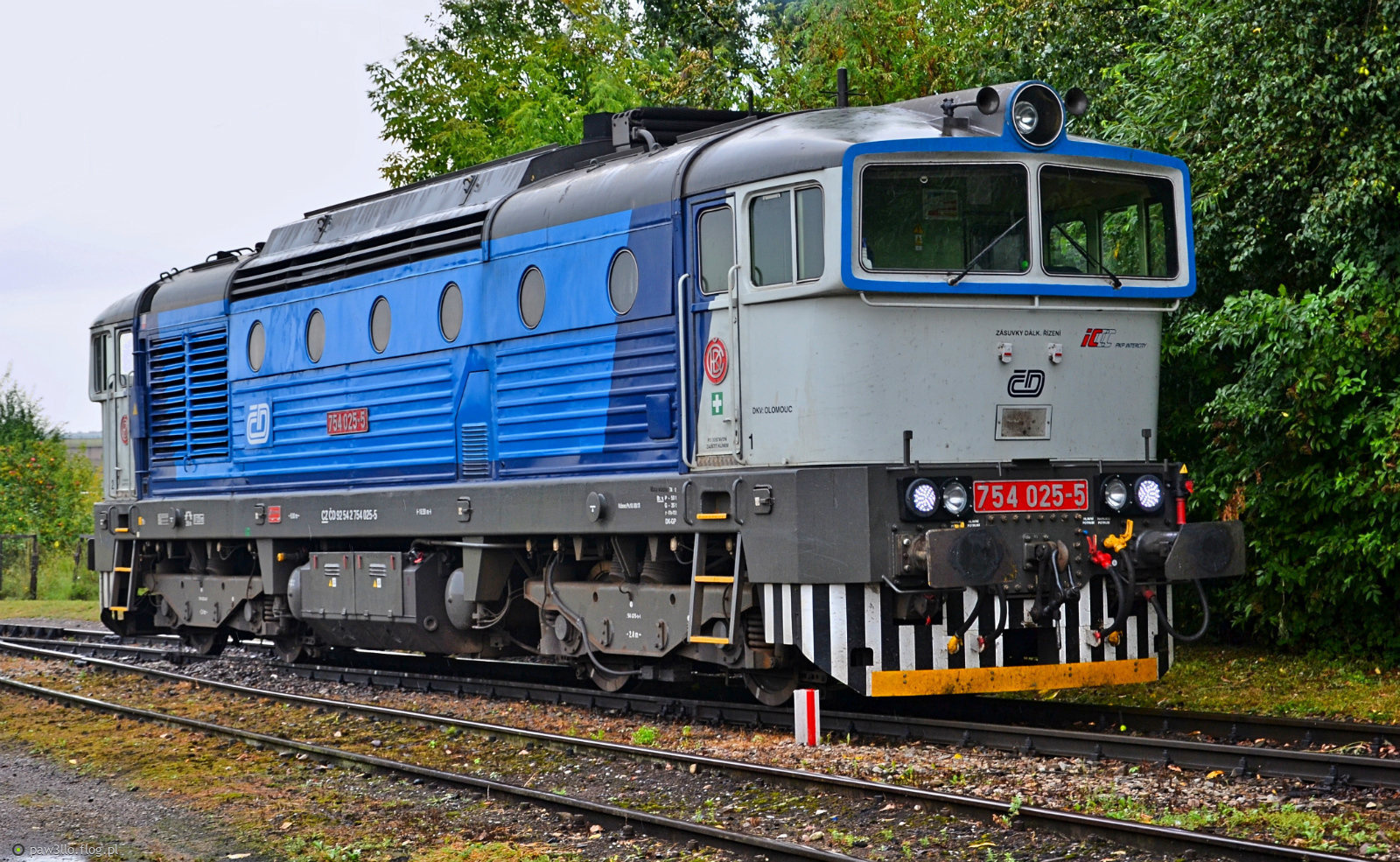 PKP Intercity na chce wydzierżawić pięć lokomotyw spalinowych