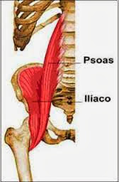 JOSÉ GASPAR LABORIE. Preparador físico y entrenador personal.: LA ...