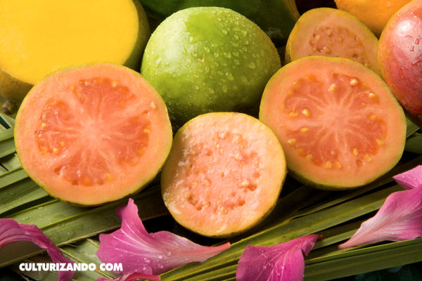 HoyVerde.com: 10 Beneficios de las guayabas