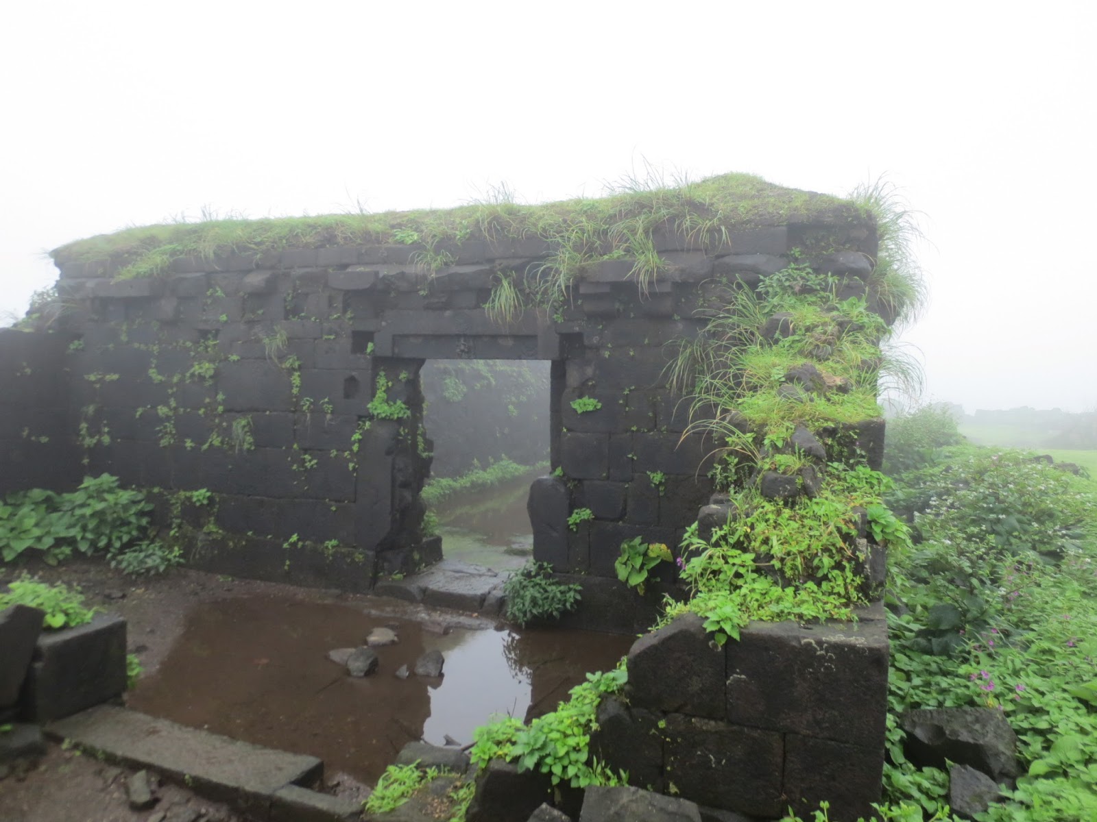 rajmachi | राजमाची (Shrivardhan fort and Manaranjan Fort) | गड-चित्रे