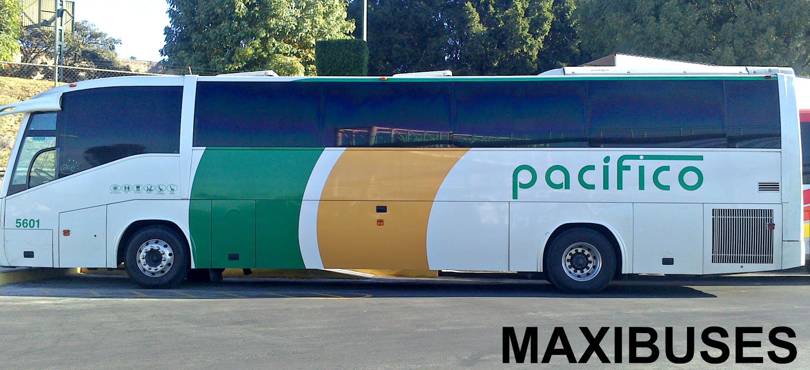 MAXIBUSES: TRANSPORTES DEL PACÍFICO