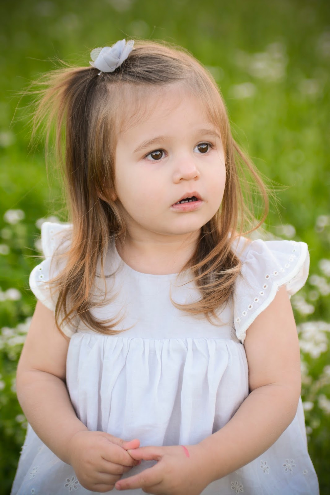 Jessica Brunson Photography: Kate - 2 year old - Texas Wildflowers