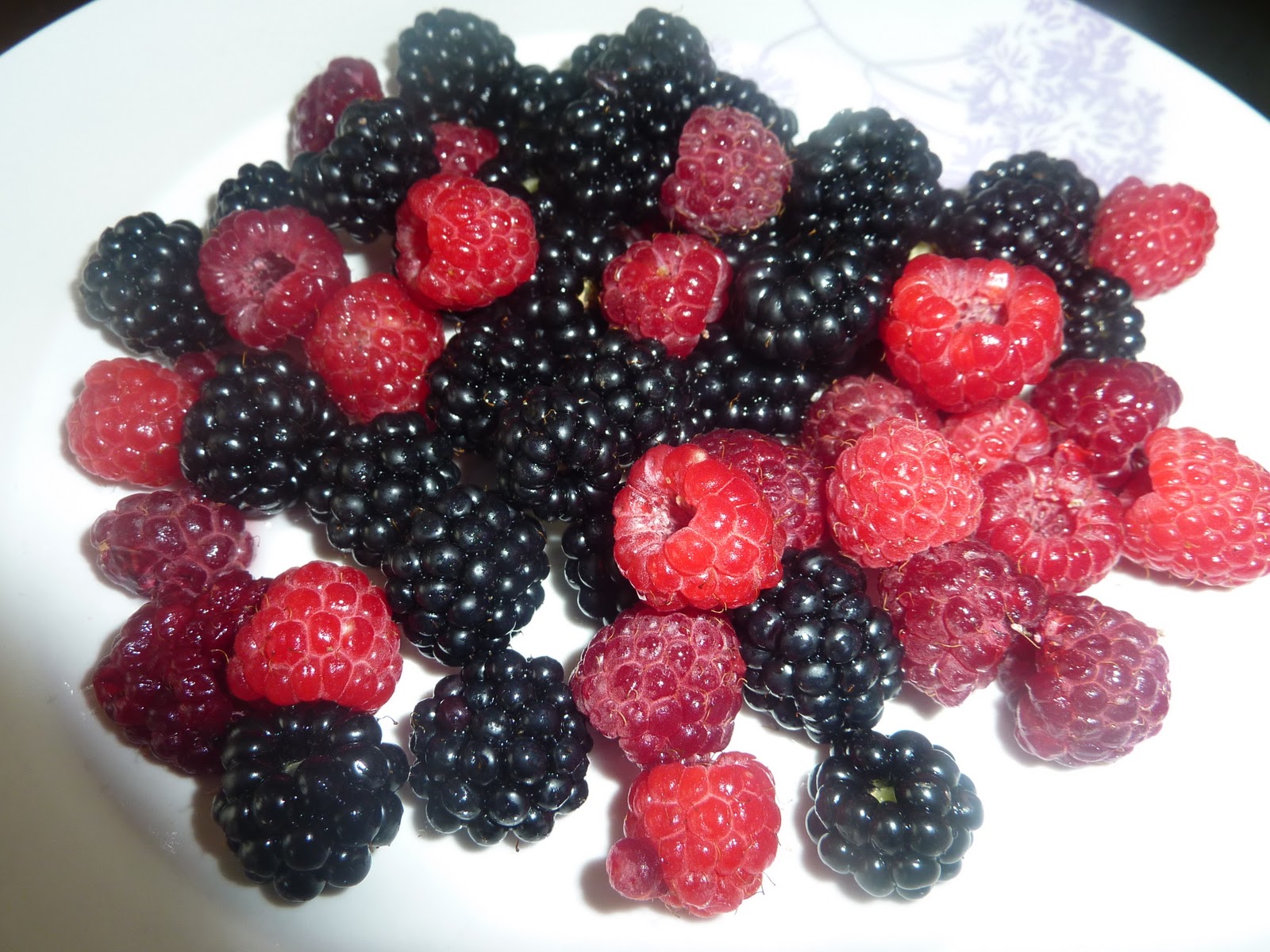 Amour de popote: Les derniers fruits rouges du jardin