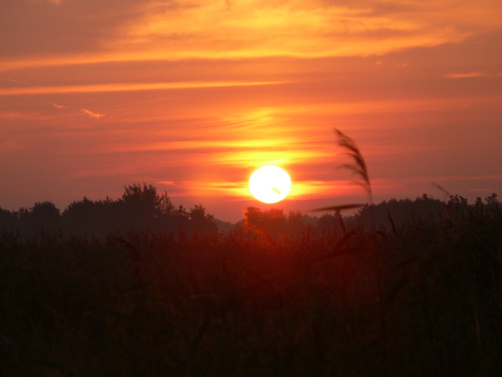 Looduspildid: Pulgoja päikesetõus, Sunrise