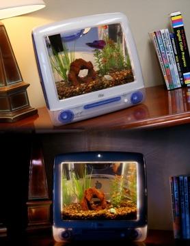 Barometro Ambulante: iMacquarium: l’acquario alla moda by Jake Harms.