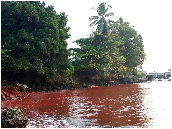 PNG's Basamuk Bay facing Environmental Contamination from Mine Waste ...