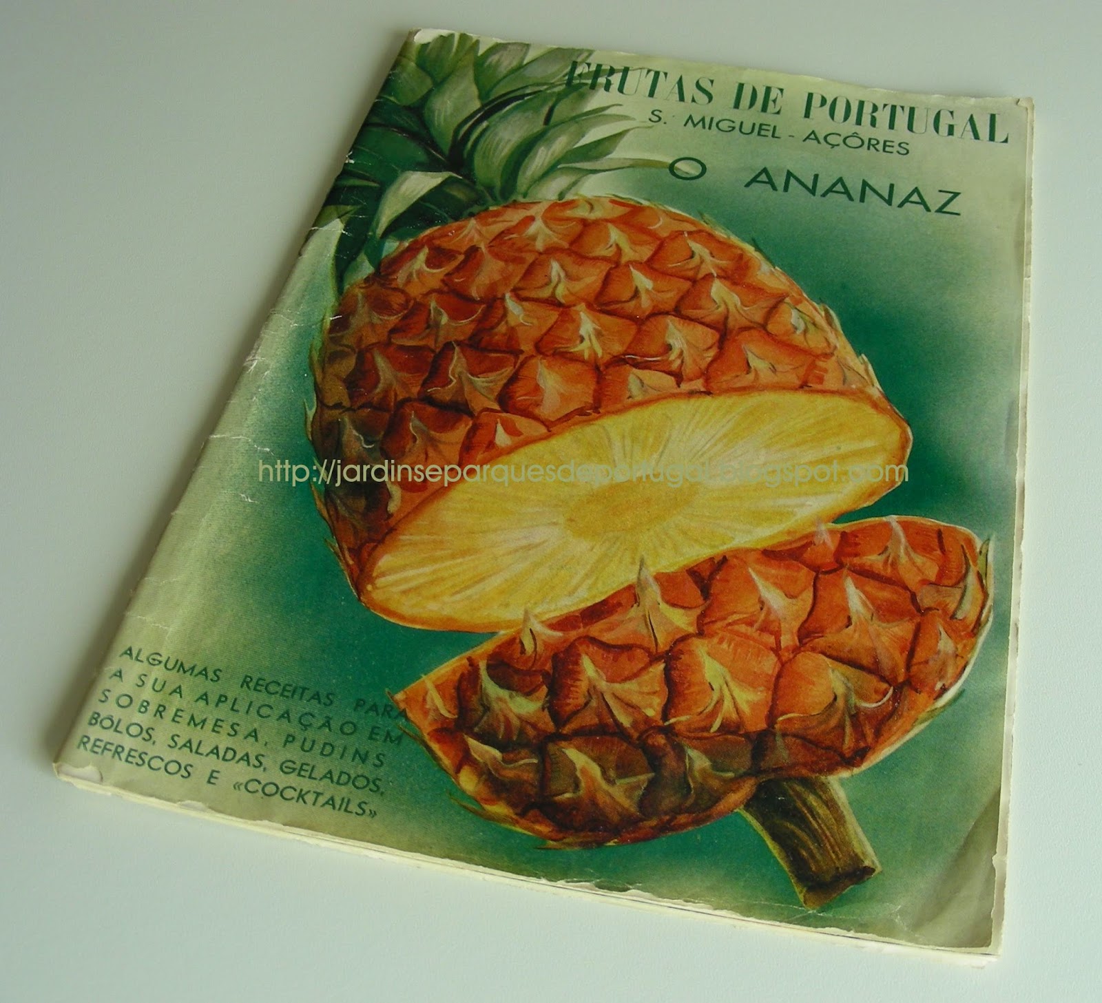 JARDINS E PARQUES DE PORTUGAL: O ANANAZ