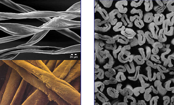 Cotton Fibres and its Properties, an overview - Tekstil Sayfası